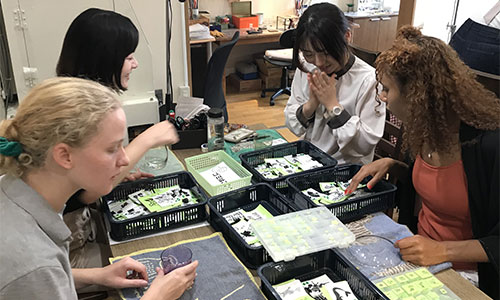 Japanese Studies Program (JSP)留学生が宇治フィールドトリップに参加 :: 同志社女子大学